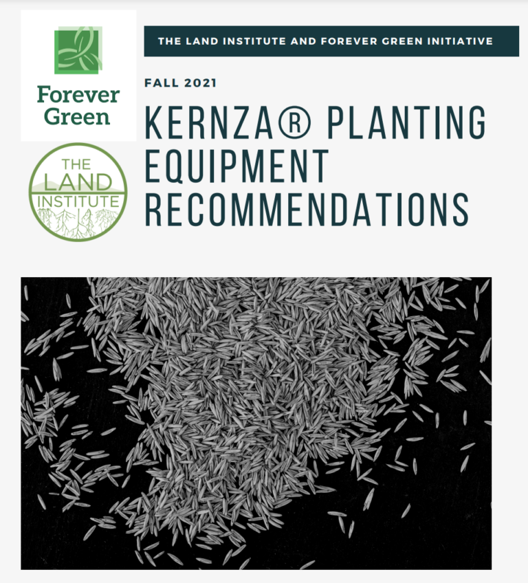 Growers - Kernza®
